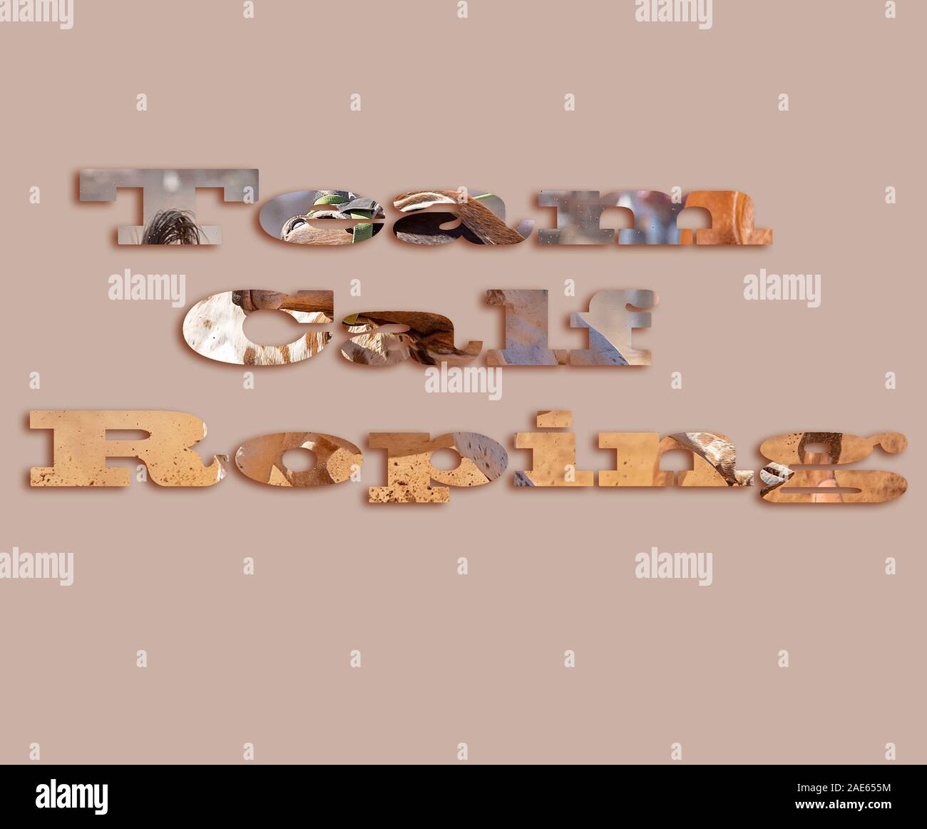 Team Calf Roping - text with image depicting team calf roping action ...
