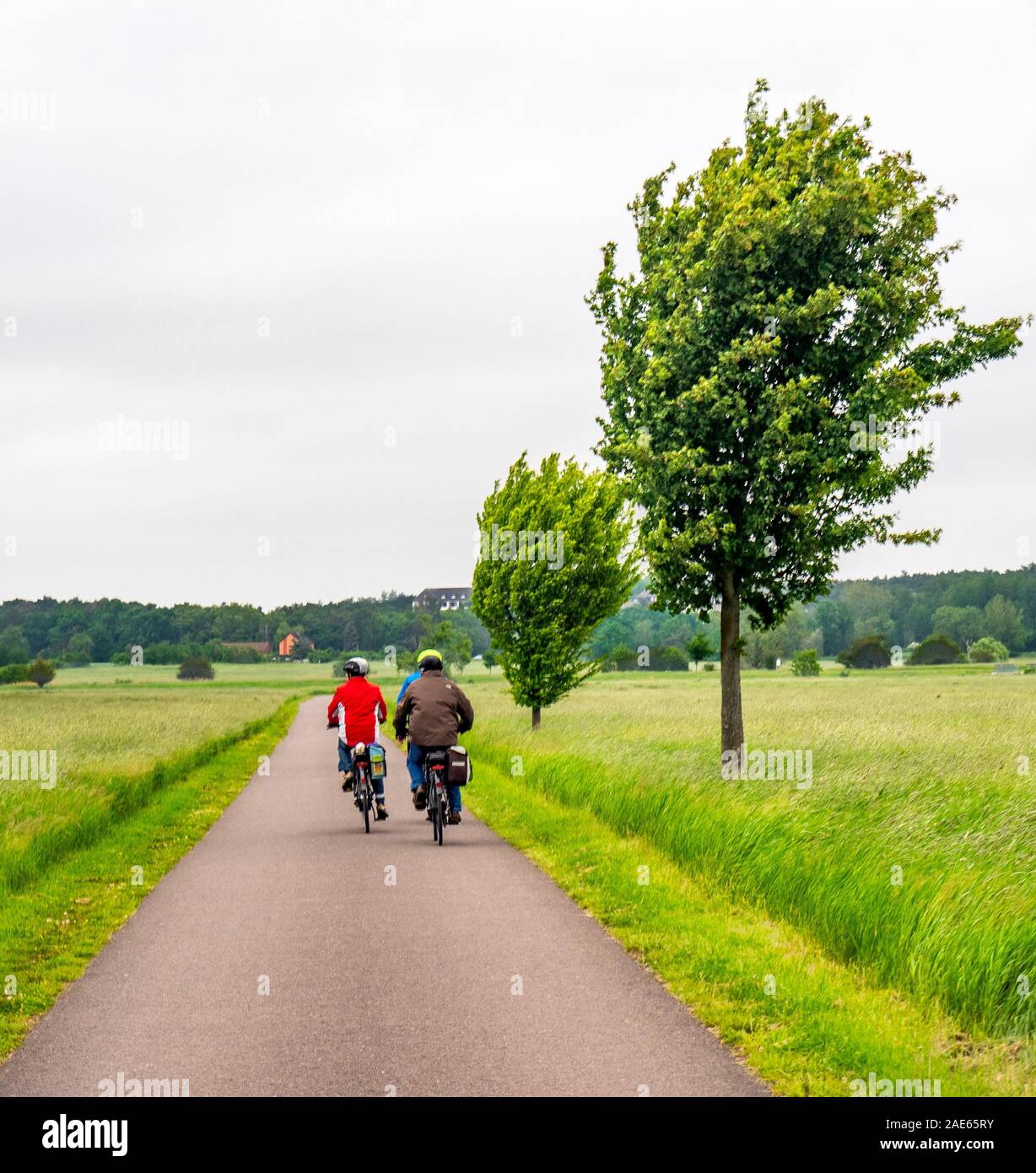 Touring cyclists riding bicycles on Elbe Cycle Route in Saxony-Anhalt ...
