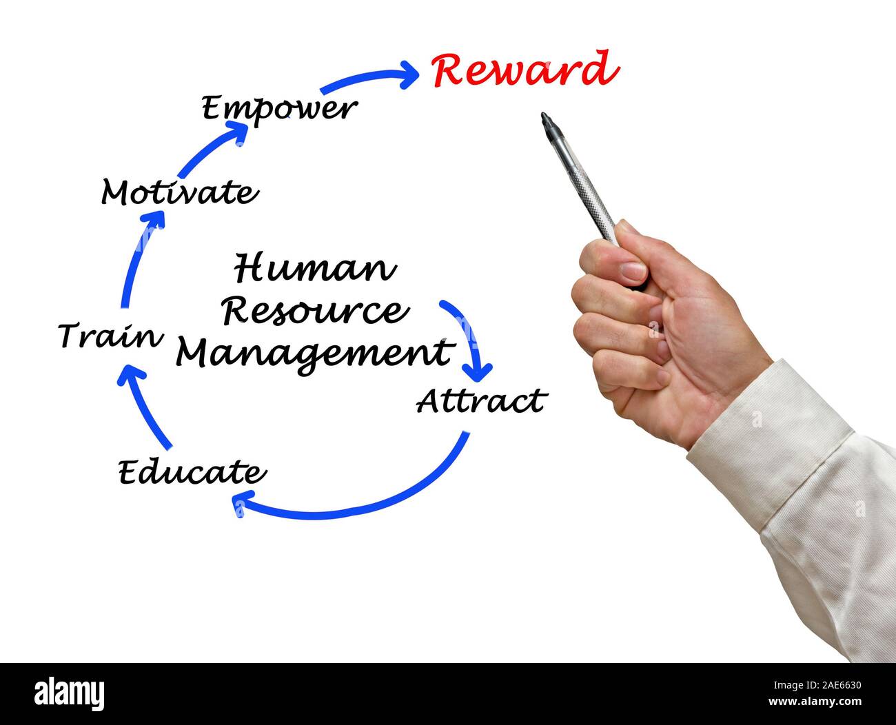 Diagram of human resource management Stock Photo - Alamy
