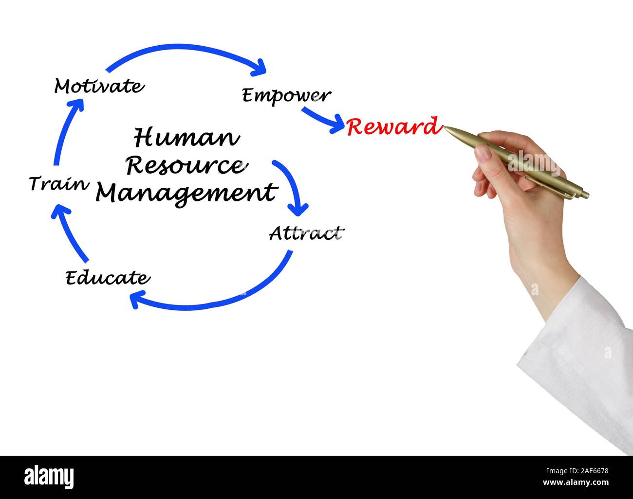 human resource management Stock Photo - Alamy