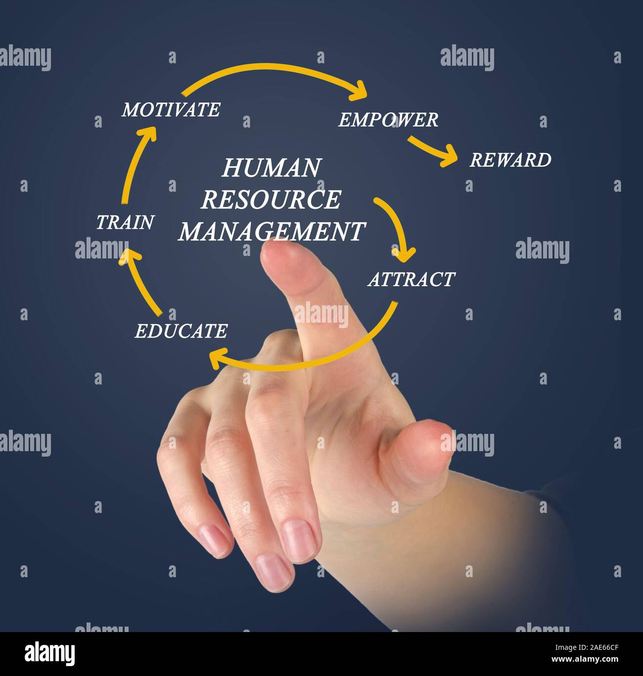human resource management Stock Photo - Alamy