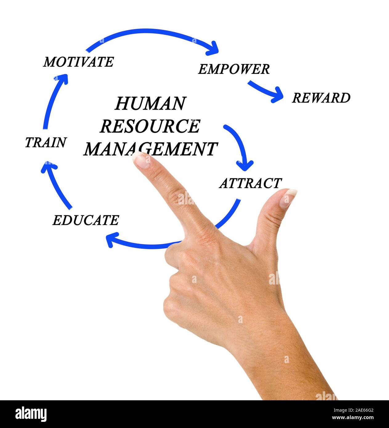 human resource management Stock Photo - Alamy