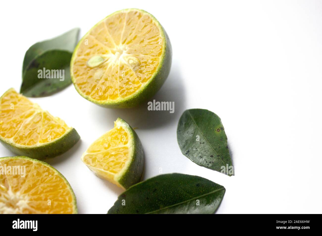 Group of fresh green citrus fruits and their leaves which have orange ...