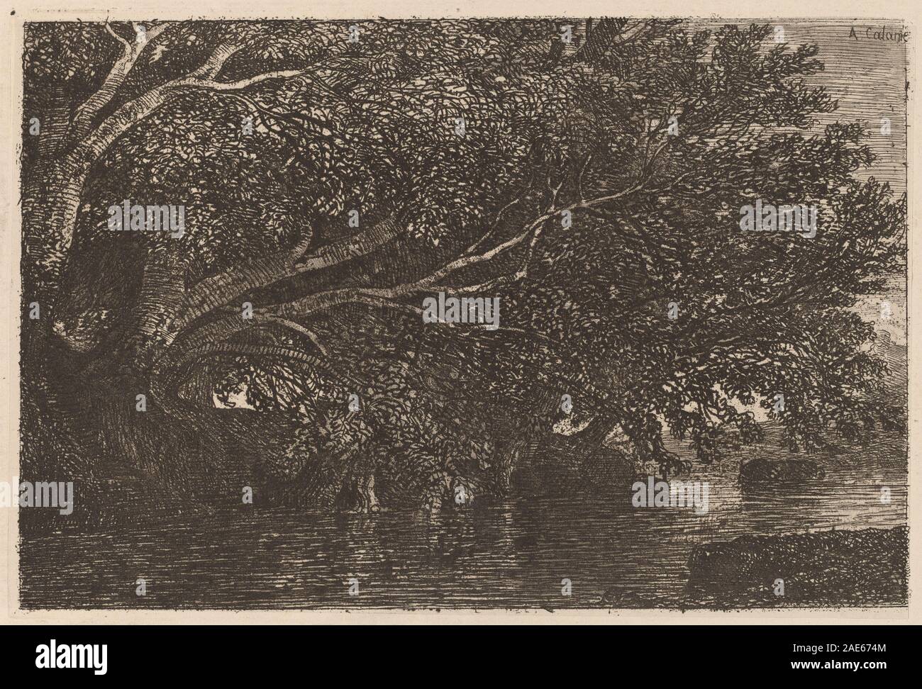Trees Overhanging a Pond; 1845date Alexandre Calame, Trees Overhanging ...