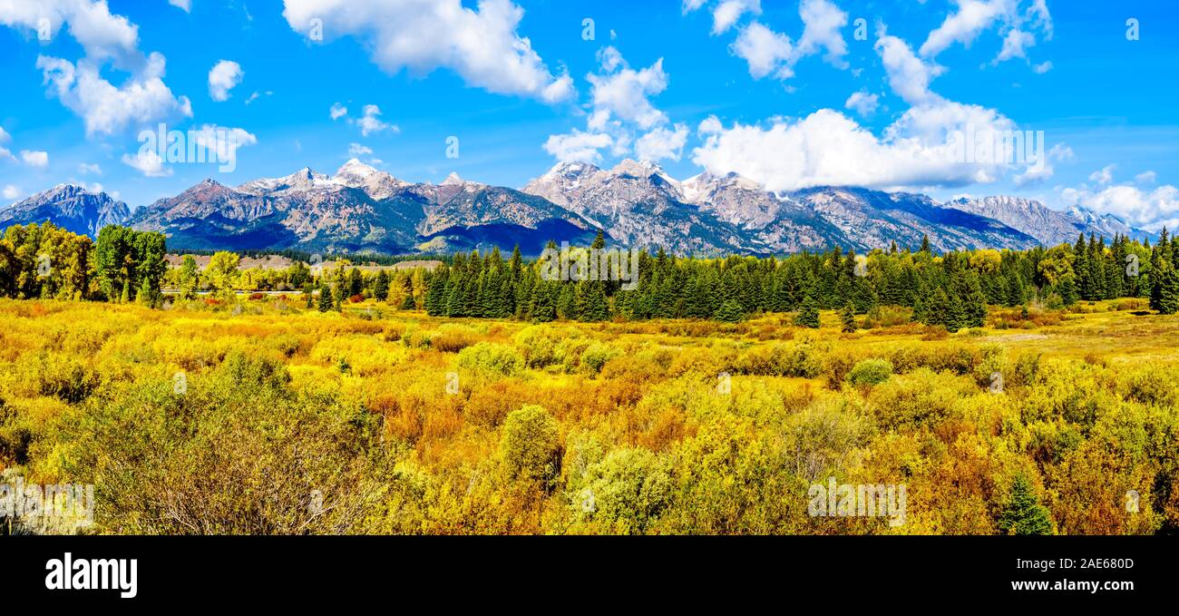 Fall Colors surrounding the Cloud covered Peaks of the Grand Tetons In ...