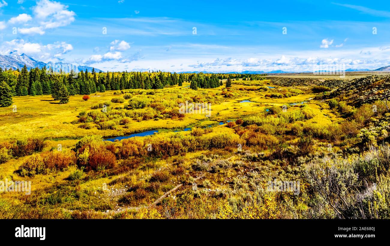 Fall colors along the Snake River in Grand Tetons National Park. Viewed ...