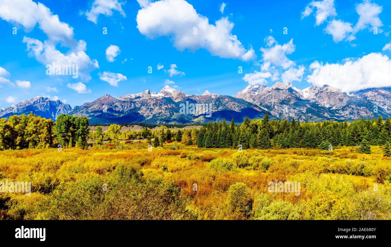 Fall Colors surrounding the Cloud covered Peaks of the Grand Tetons In ...