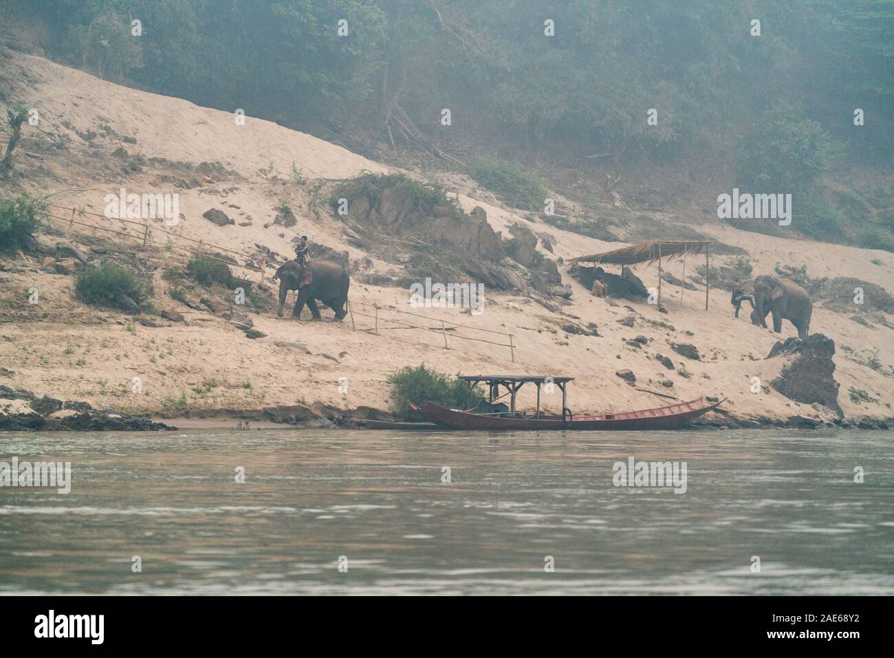 Mekong elephant park, Pakbeng, Laos, Asia Stock Photo - Alamy