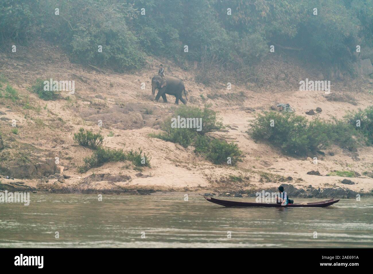 Mekong elephant park, Pakbeng, Laos, Asia Stock Photo - Alamy