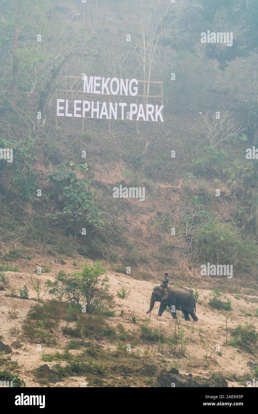 Mekong elephant park, Pakbeng, Laos, Asia Stock Photo - Alamy