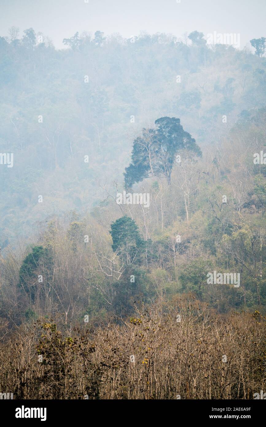 Lanscape along the Mekong river, Laos, Asia Stock Photo - Alamy