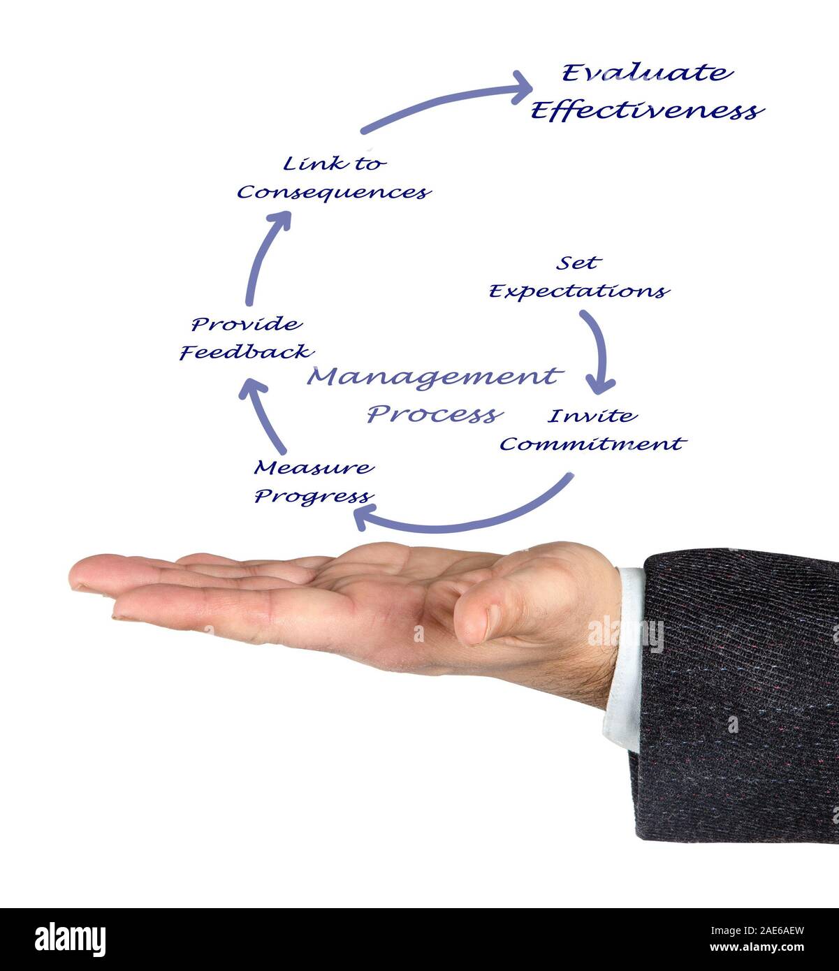 Diagram of management process Stock Photo - Alamy