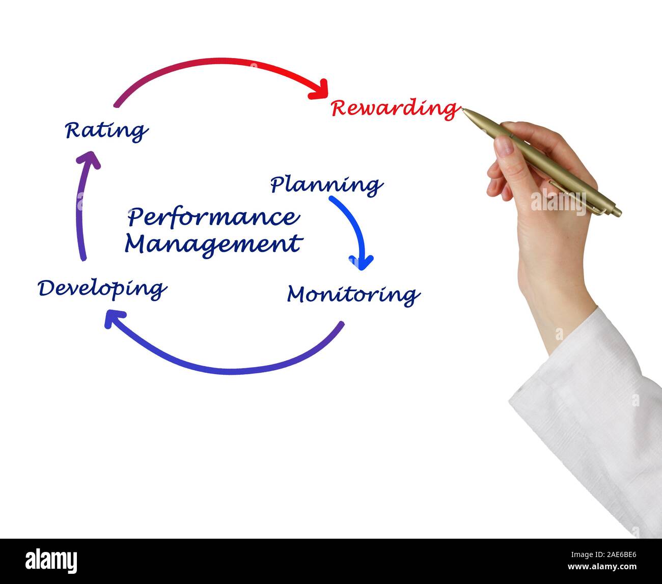 What Are The 12 Components Of Performance Management System - Design Talk