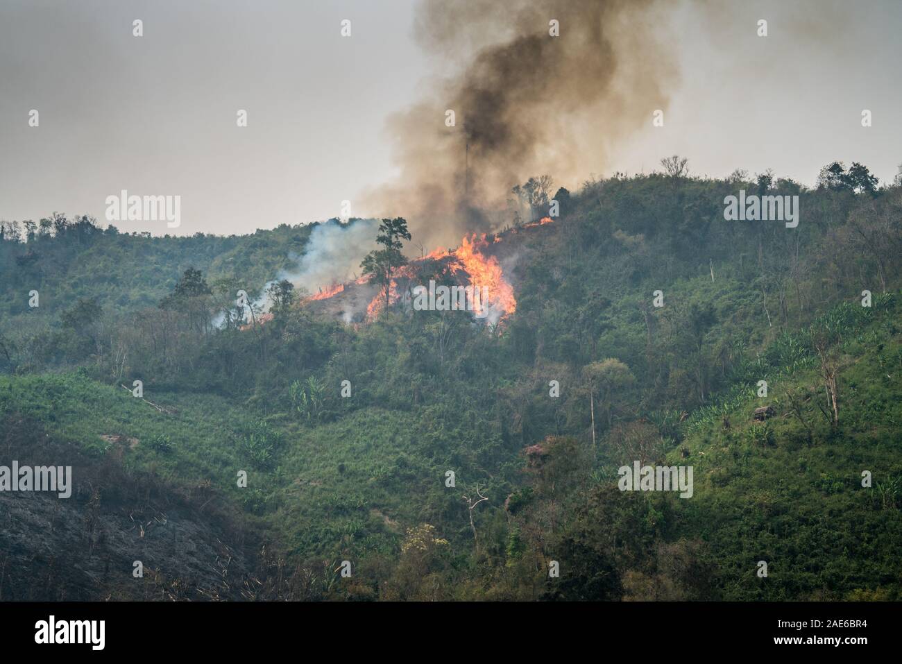 Tropical rainforest burning indonesia hi-res stock photography and ...