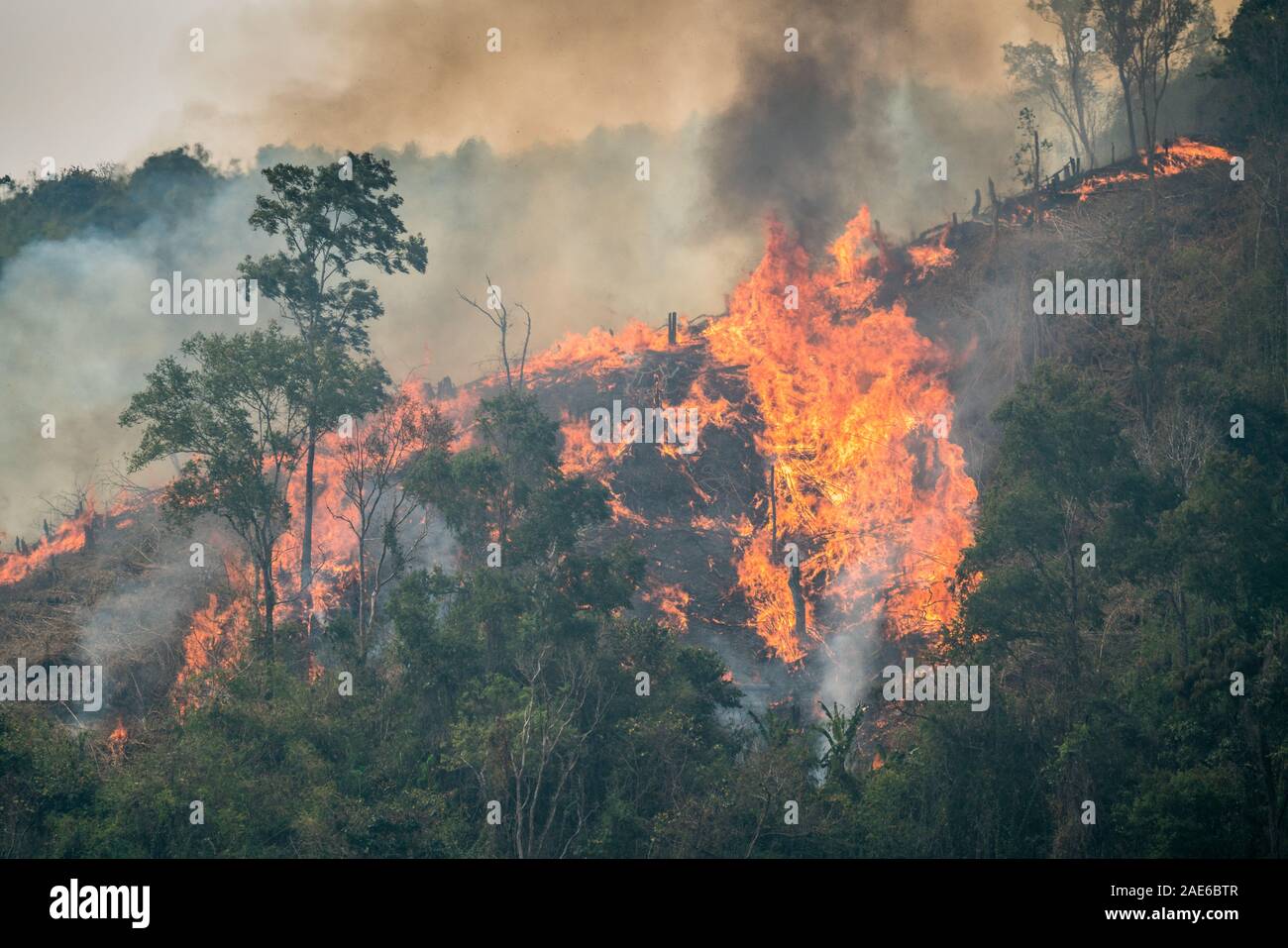 Tropical rainforest burning indonesia hi-res stock photography and ...