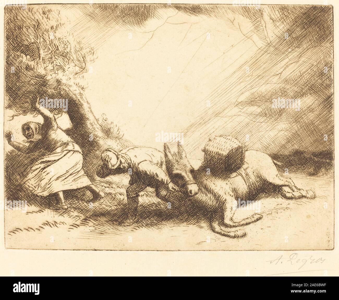 Donkey antique drawing hi-res stock photography and images - Alamy