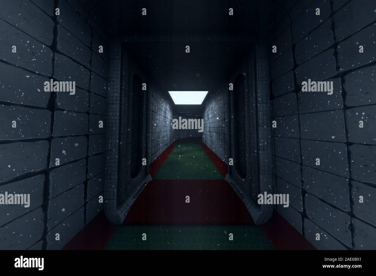 Stuck In A Loony Bin