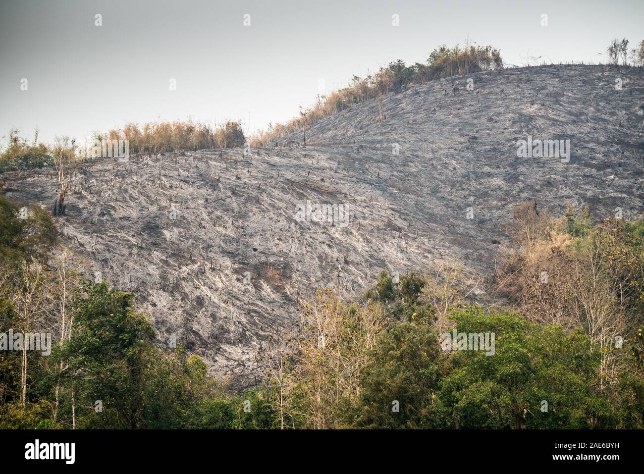 Indonesia forest burning hi-res stock photography and images - Alamy