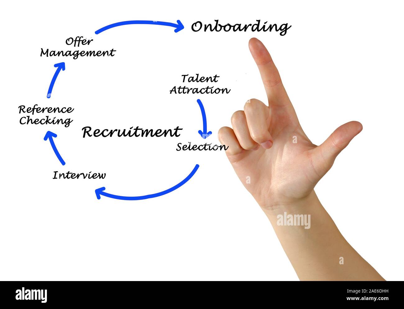 Diagram of recrutment process Stock Photo - Alamy