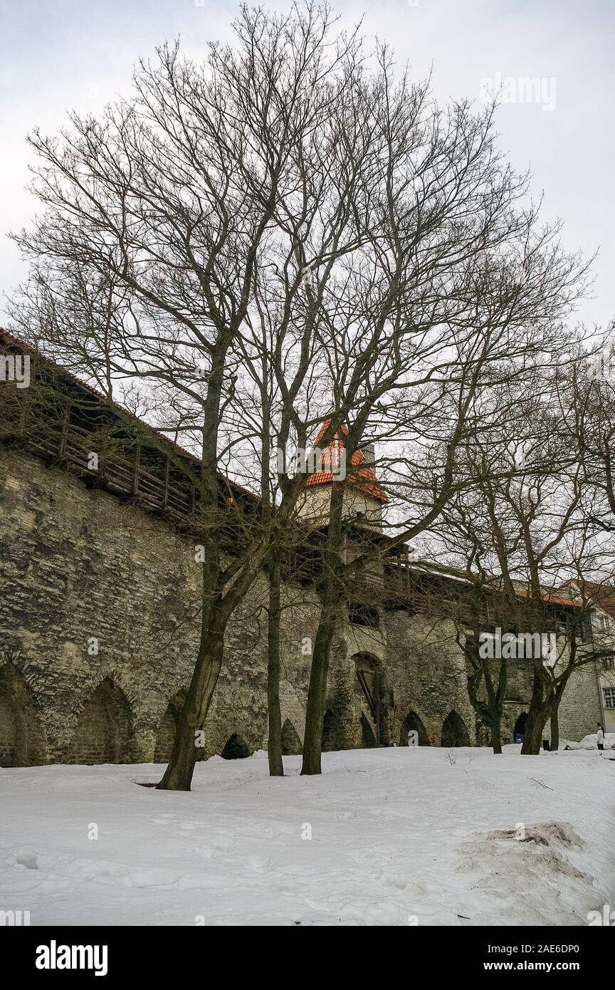 Stable Tower and medieval town wall walkway in Old Tallinn at Winter ...