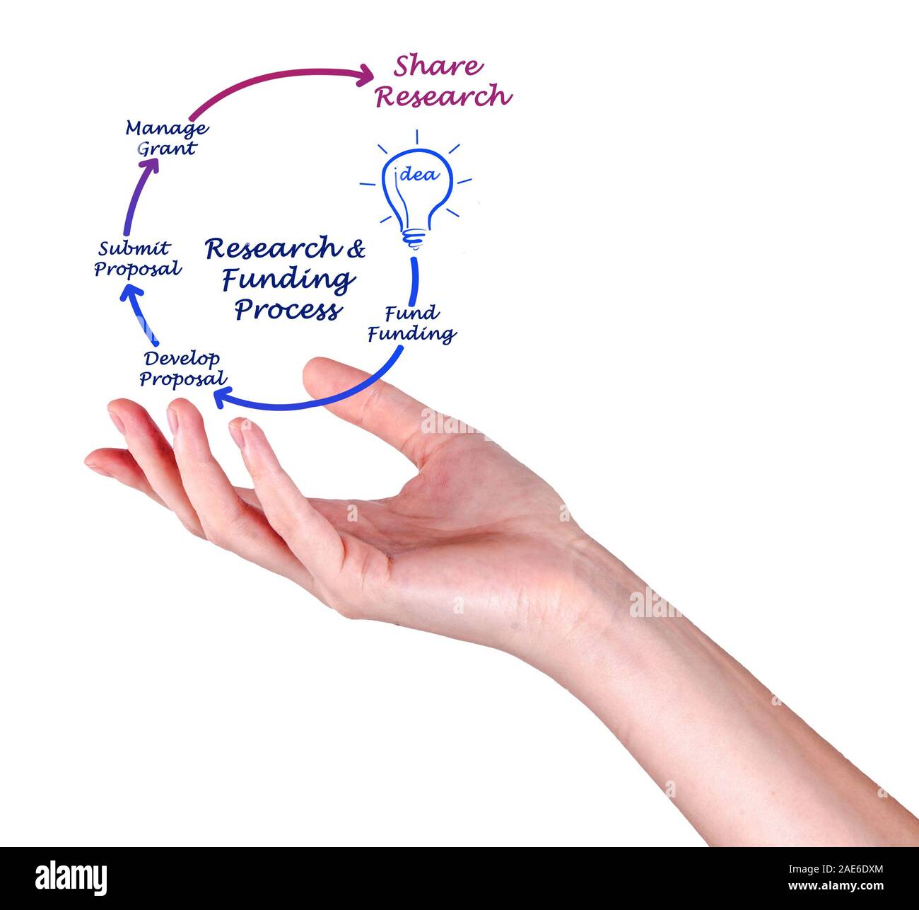 Research Funding Life Cycle Stock Photo - Alamy