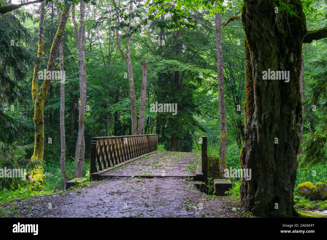 Hazy composition hi-res stock photography and images - Alamy