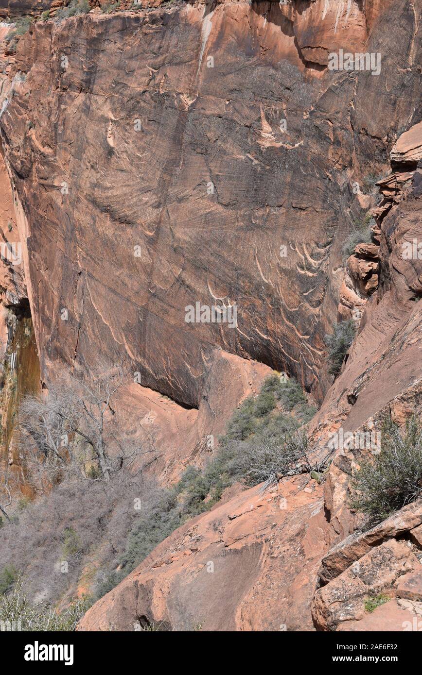 Sandstone face showing signs of being sculpted by water running down in ...