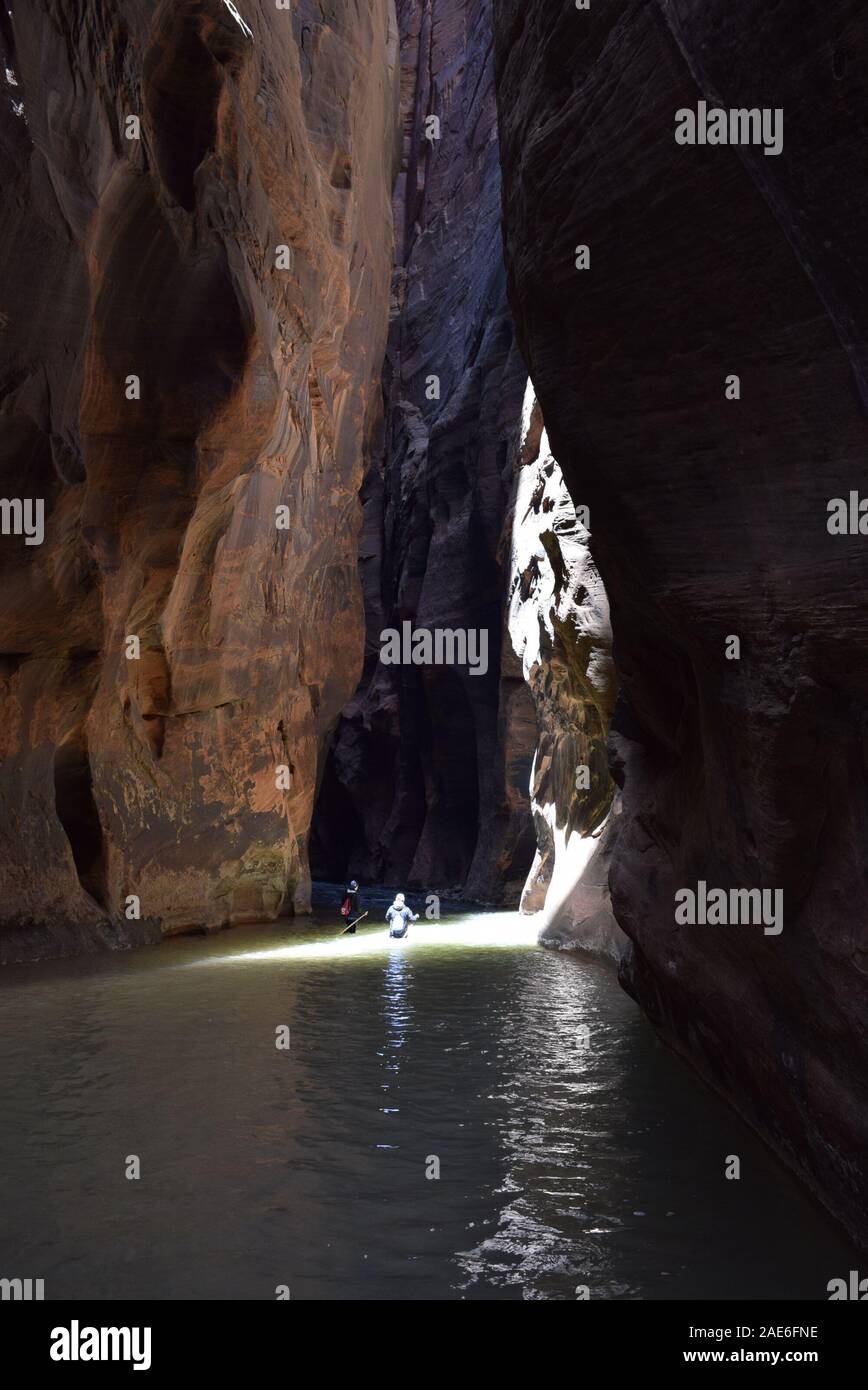 Hikers wade through the Virgin River in the Narrows. The river has ...