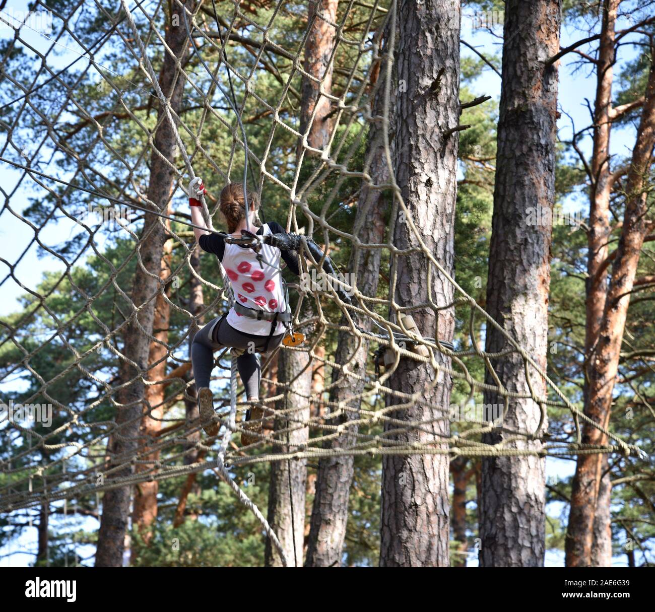 Obstacle park in pine tree wood Stock Photo - Alamy