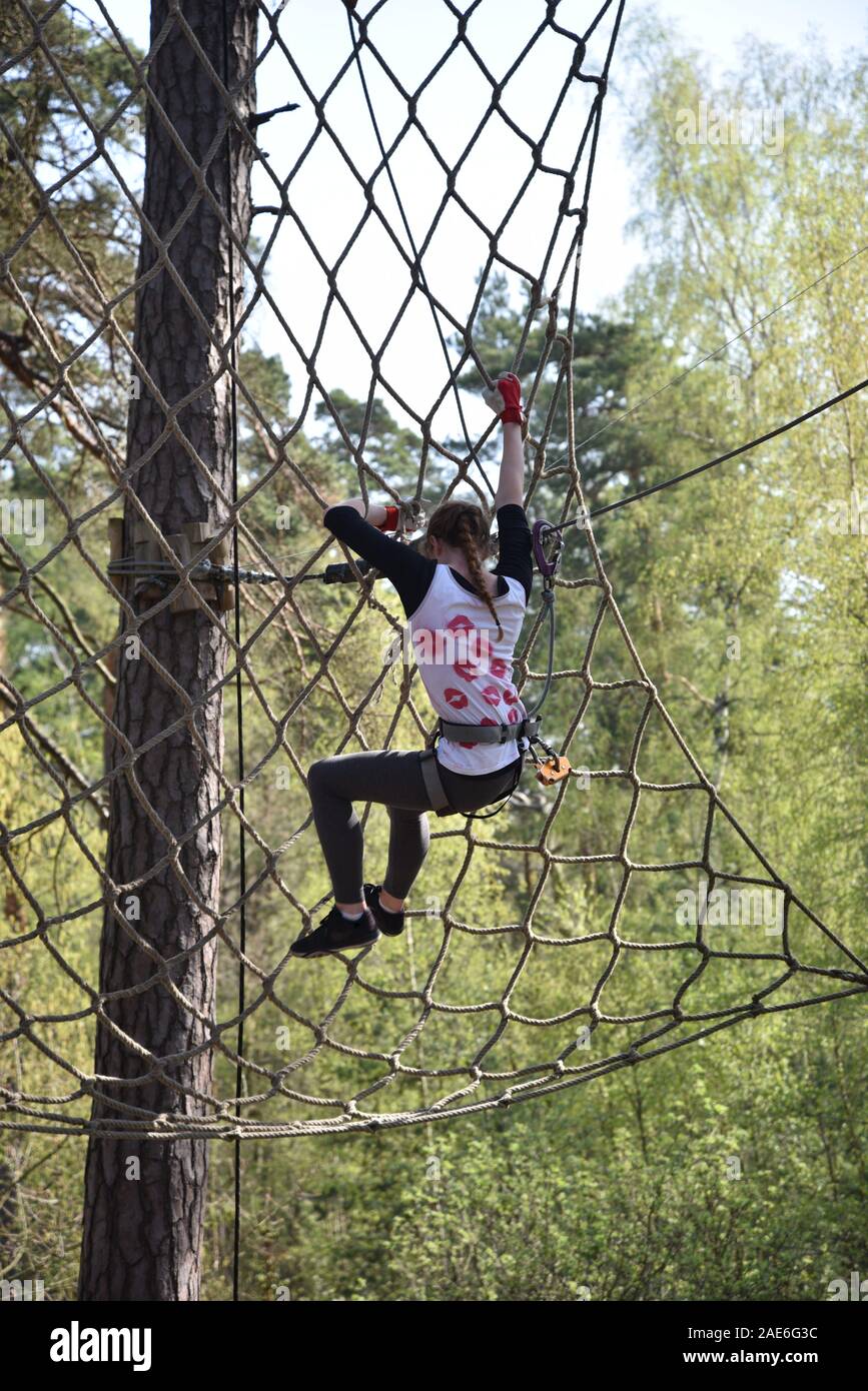 Obstacle park in pine tree wood Stock Photo - Alamy