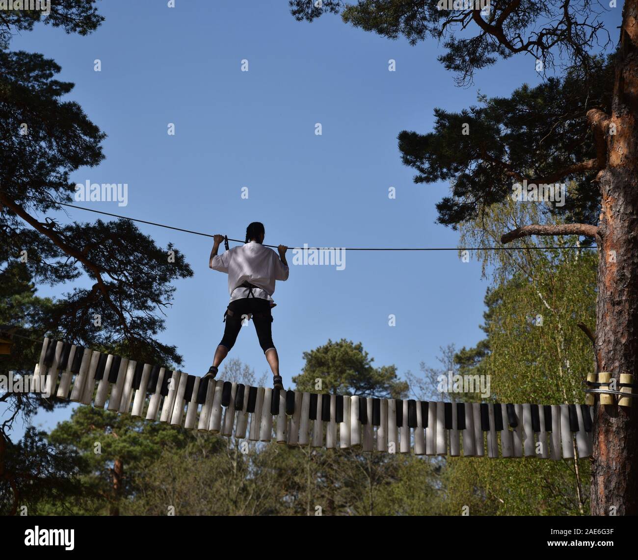 Tarzan adventure park hi-res stock photography and images - Alamy