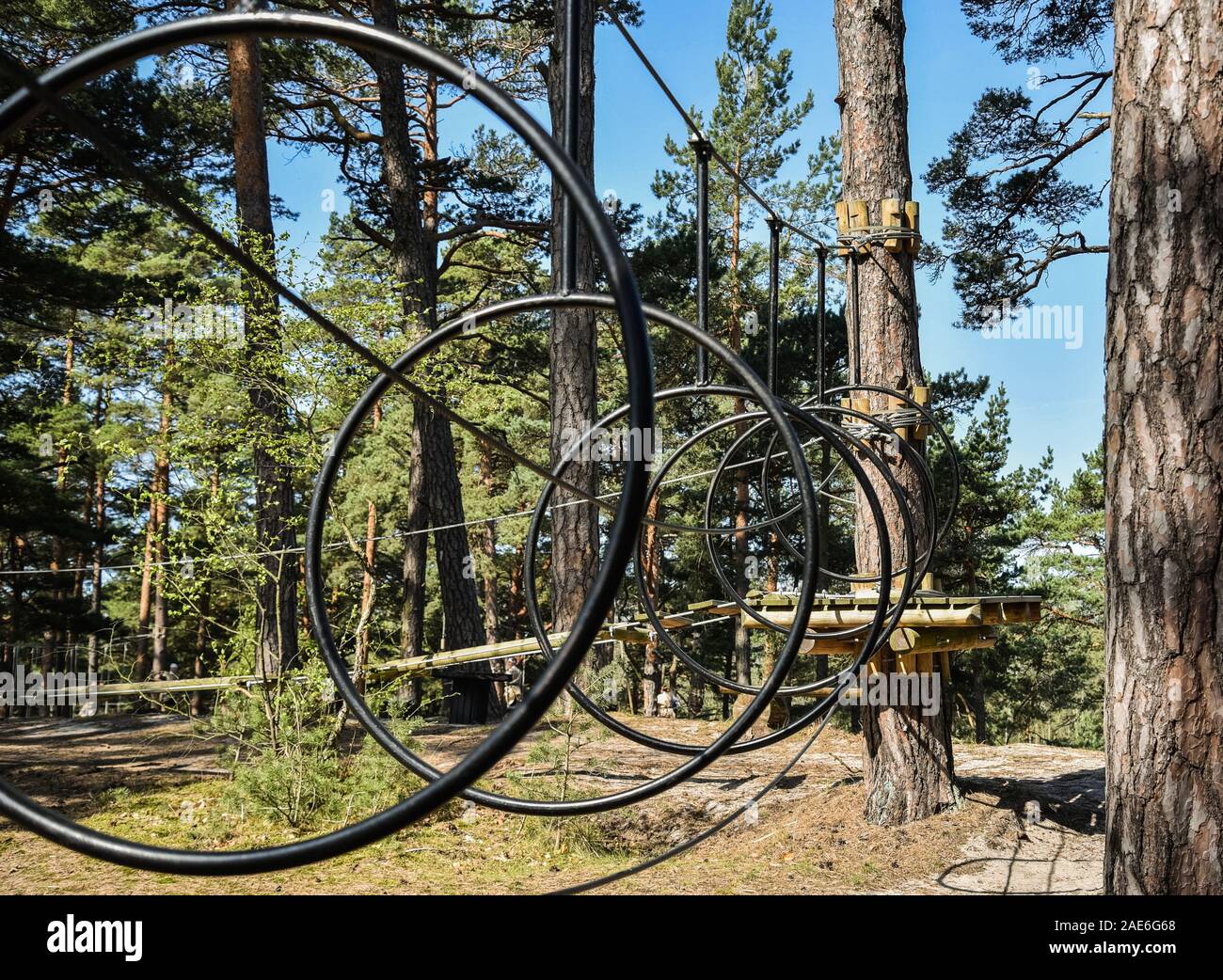 Obstacle park in pine tree wood Stock Photo - Alamy