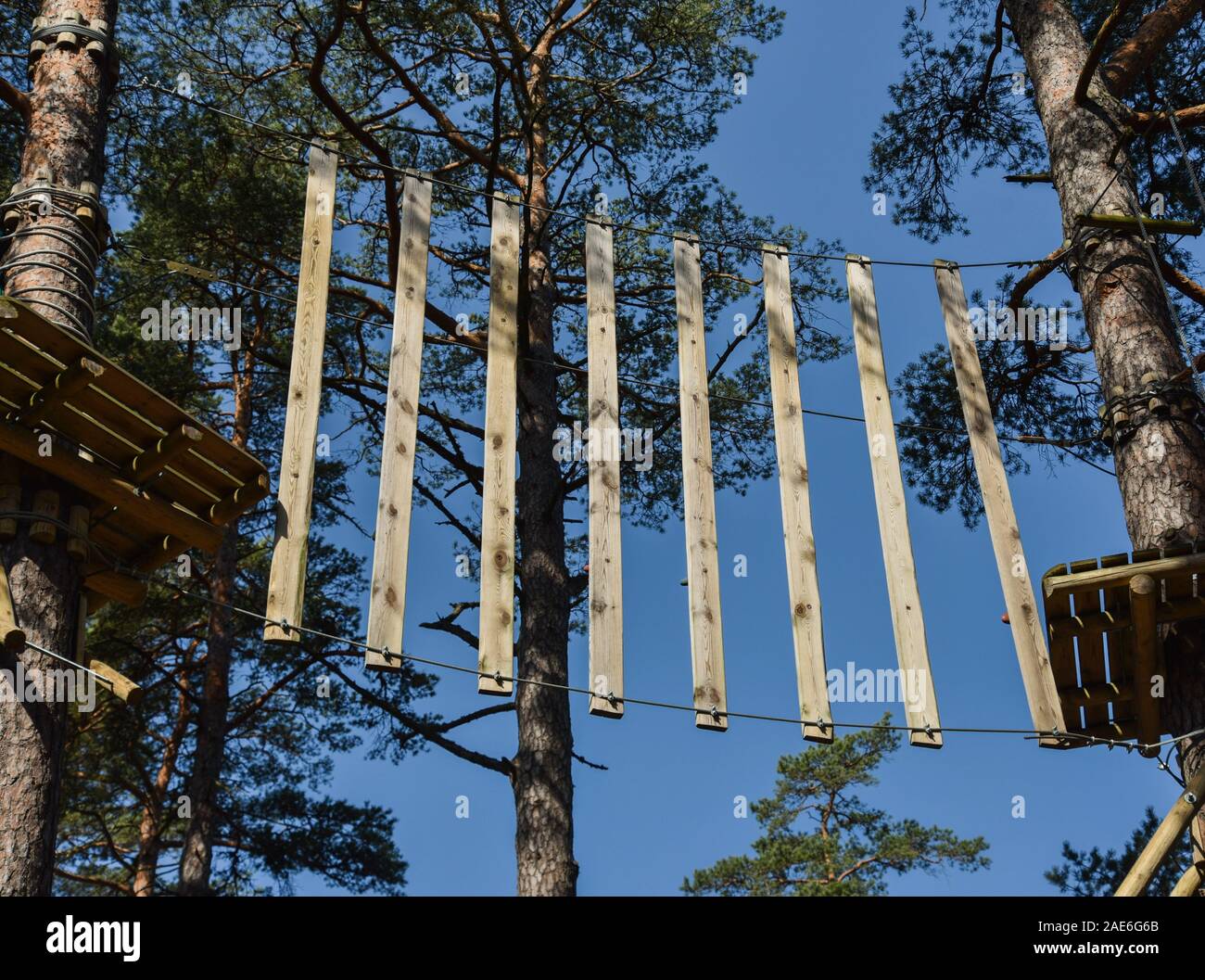 Obstacle park in pine tree wood Stock Photo - Alamy