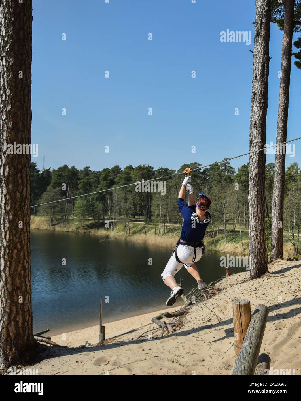 Obstacle park in pine tree wood and lake Stock Photo - Alamy