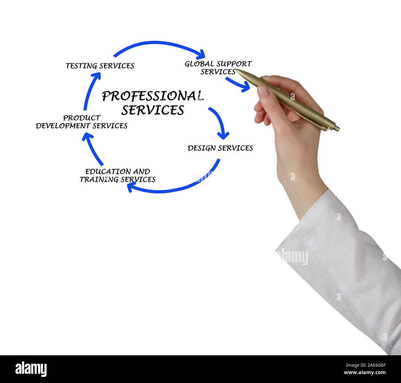Diagram of professional services Stock Photo - Alamy