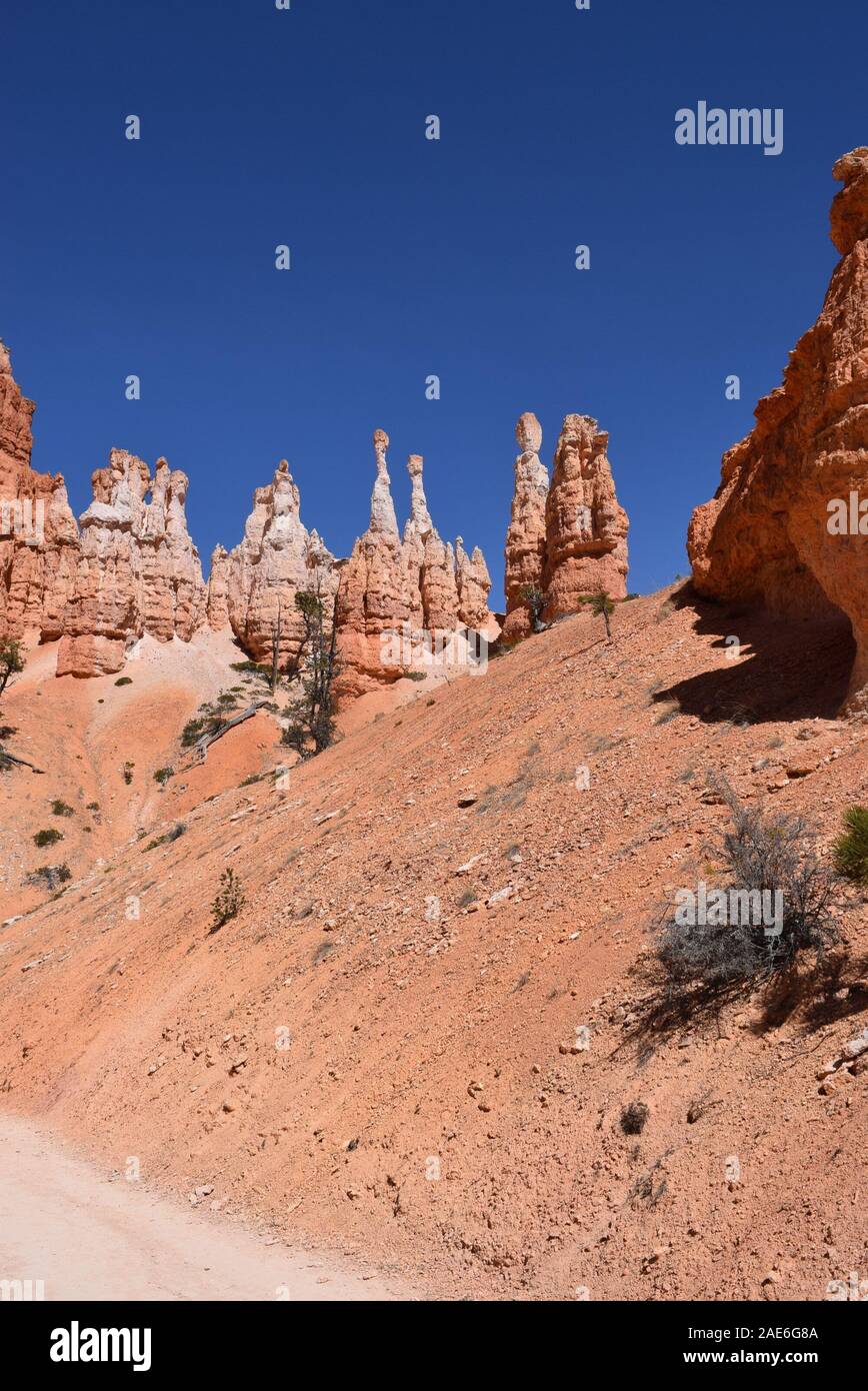 The hoodoos of Bryce Canyon, formed by millions of years of geological ...