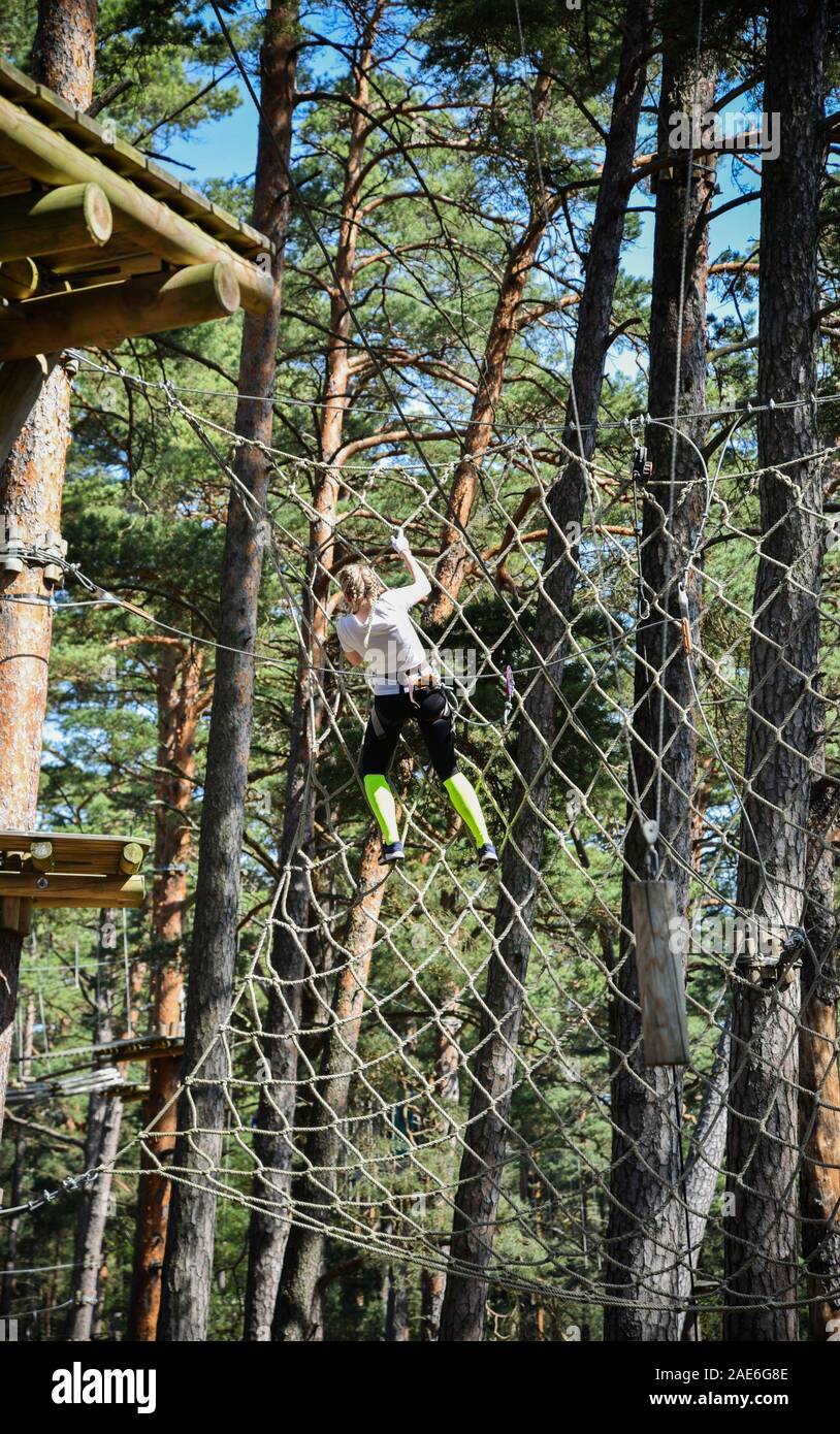 Obstacle park in pine tree wood Stock Photo - Alamy