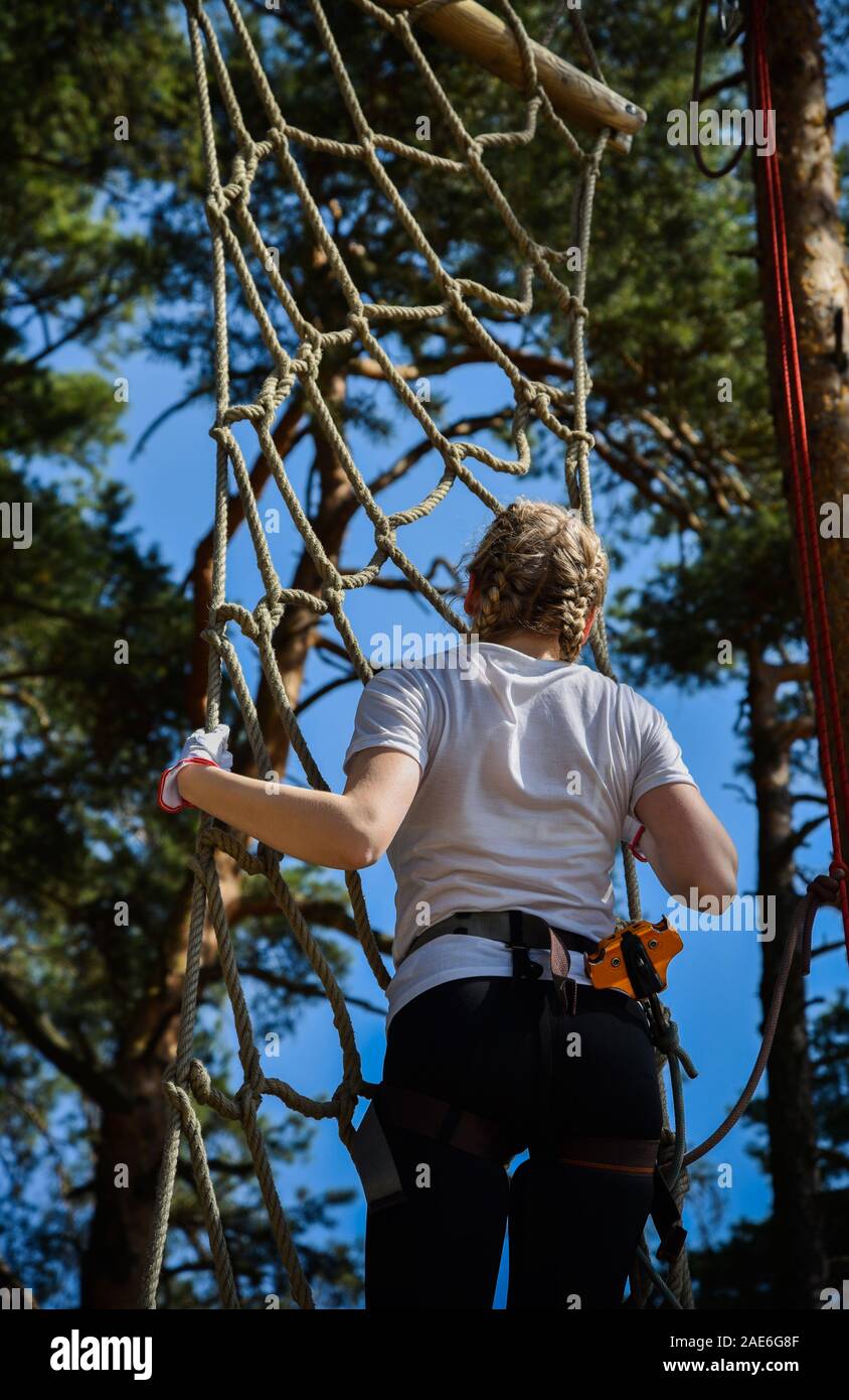Obstacle park in pine tree wood Stock Photo - Alamy