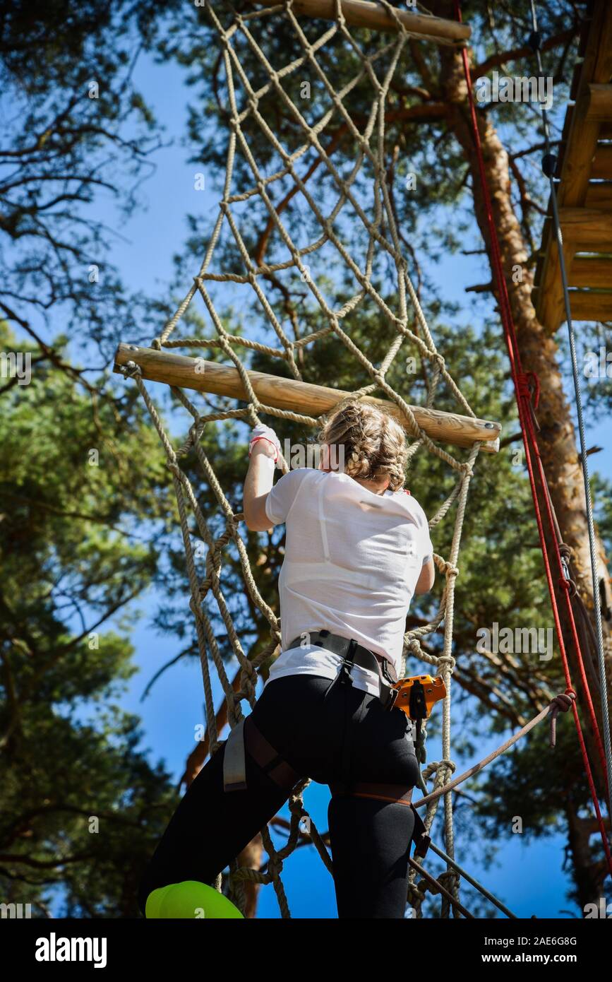Obstacle park in pine tree wood Stock Photo - Alamy