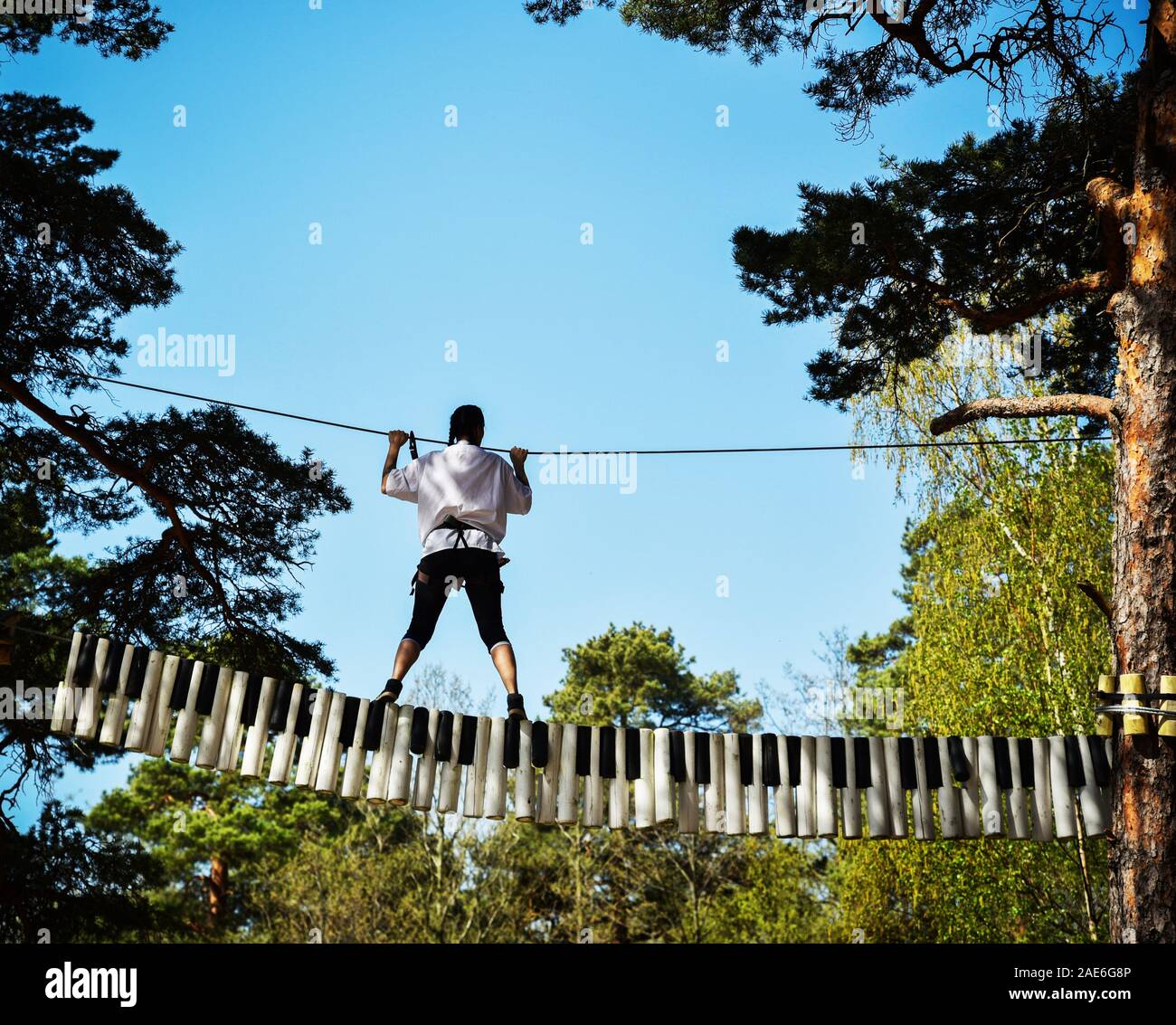 Obstacle park in pine tree wood Stock Photo - Alamy