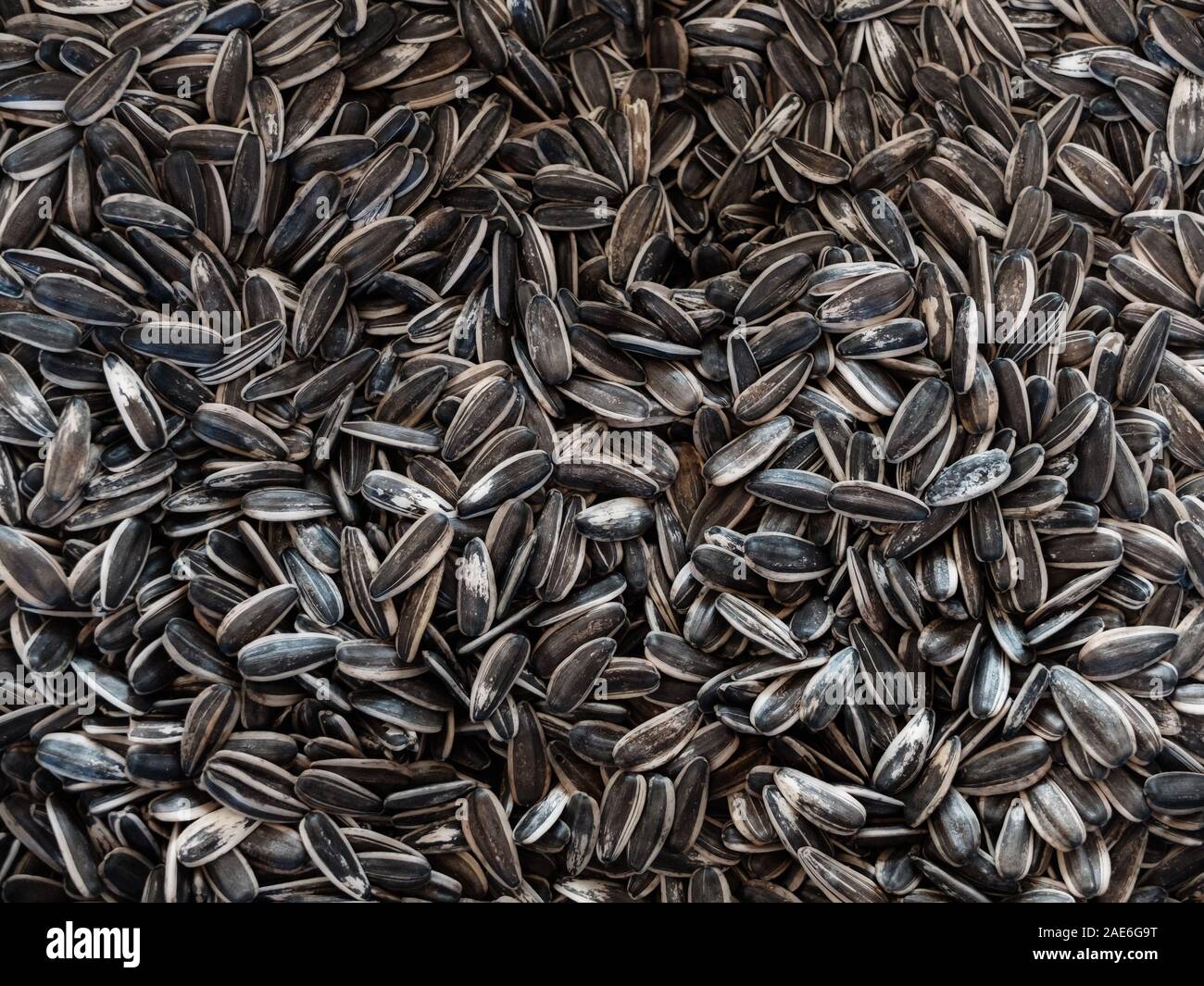 Organic sunflower seed. Texture or background concept Stock Photo - Alamy