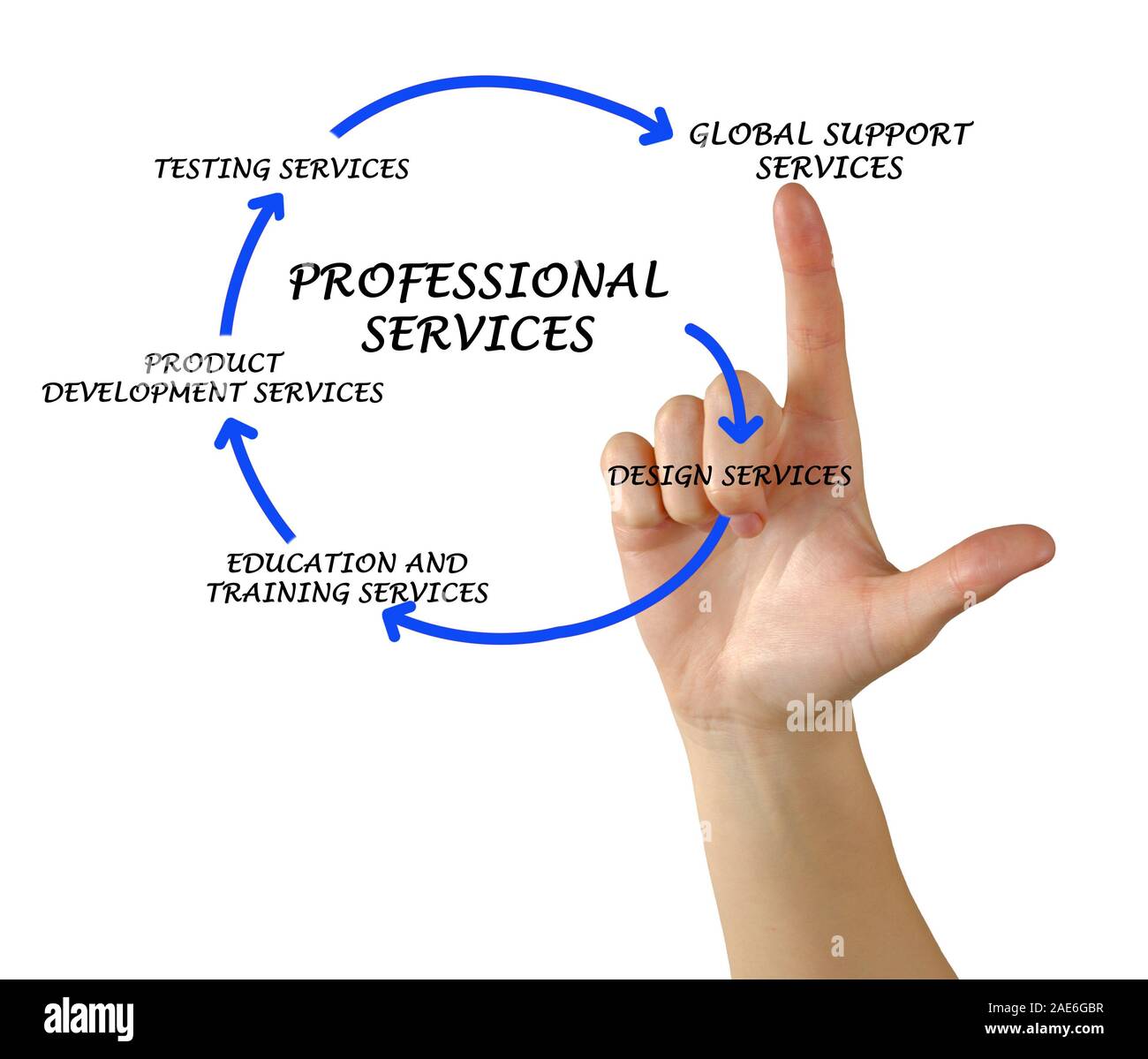 Diagram of professional services Stock Photo - Alamy