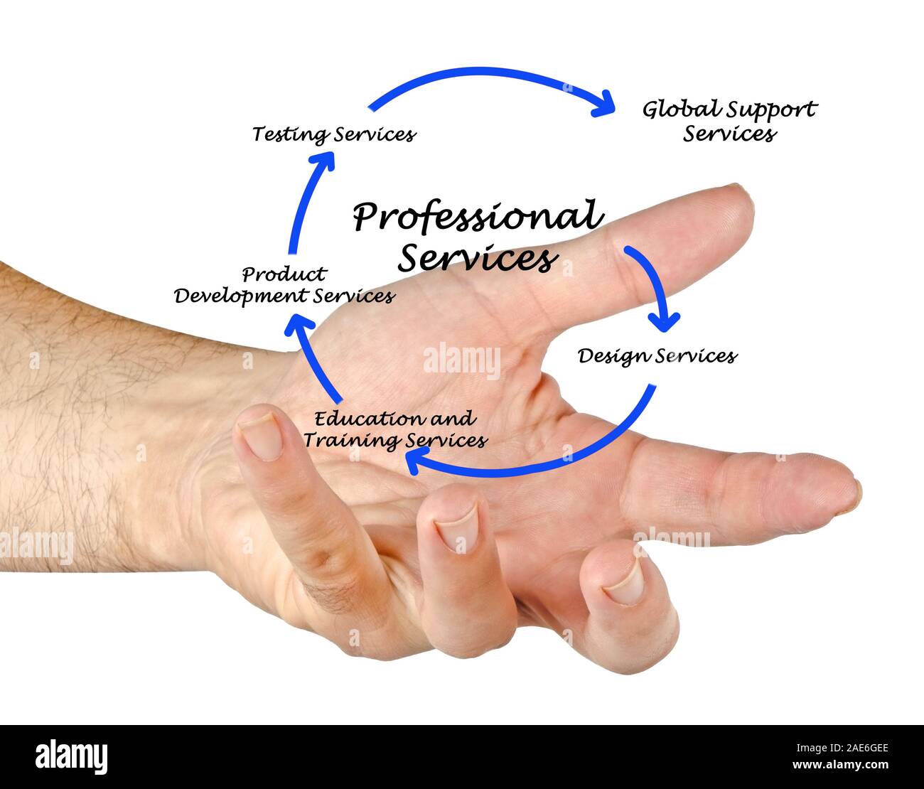 Diagram of professional services Stock Photo - Alamy
