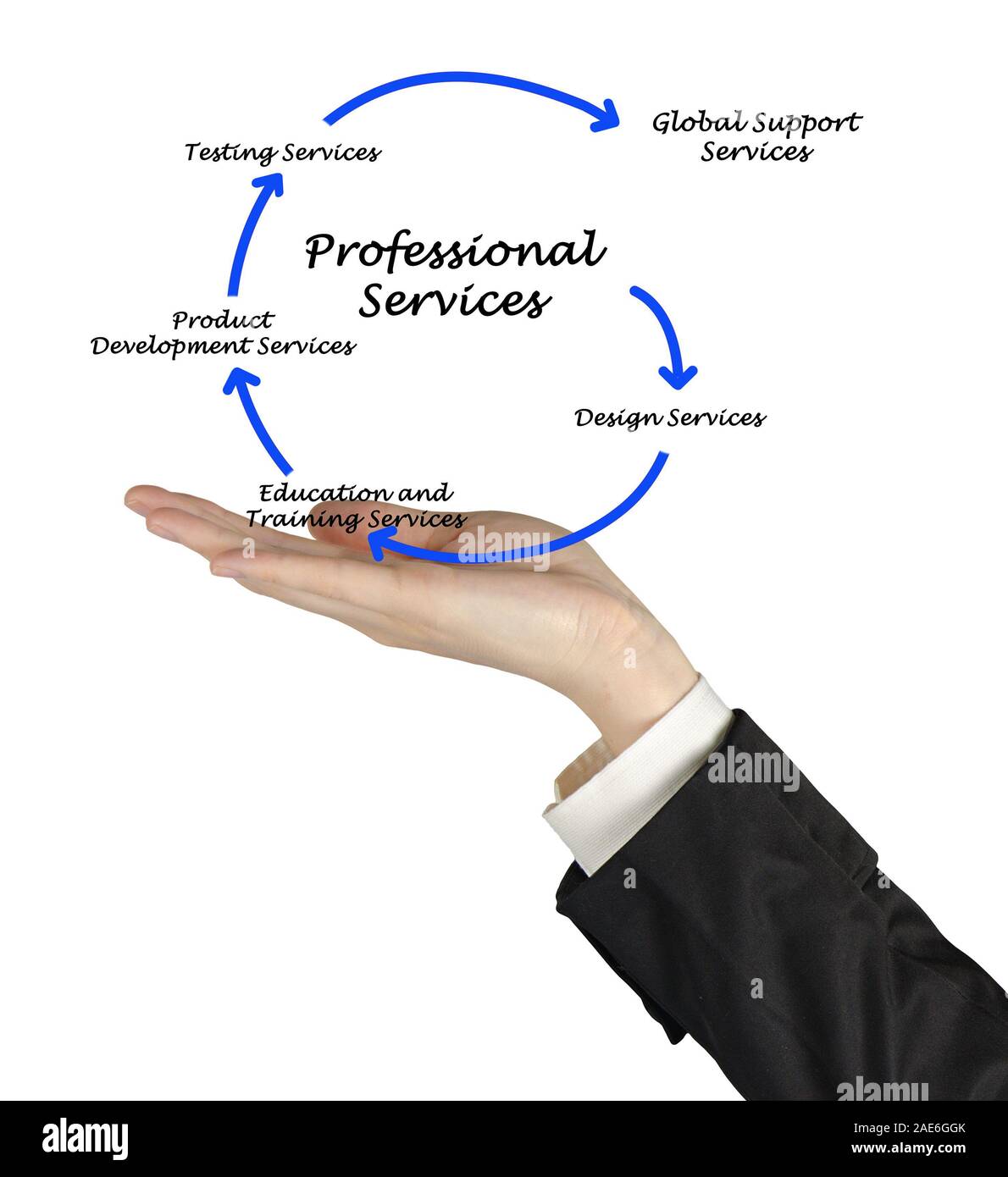 Diagram of professional services Stock Photo - Alamy