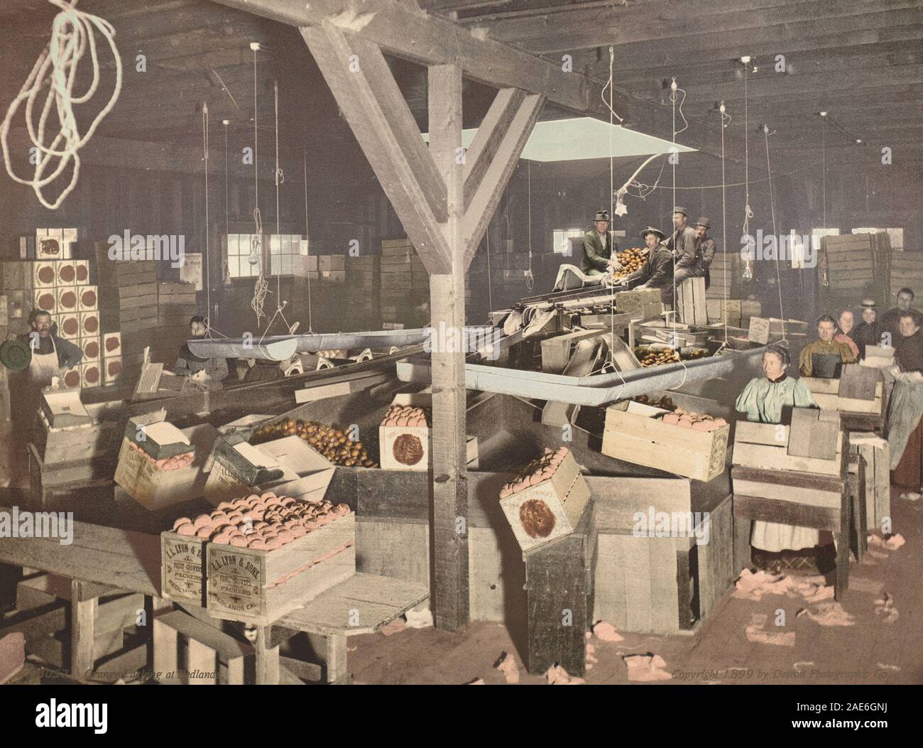 Orange Packing at Redlands; 1899date American 19th Century (Detroit ...