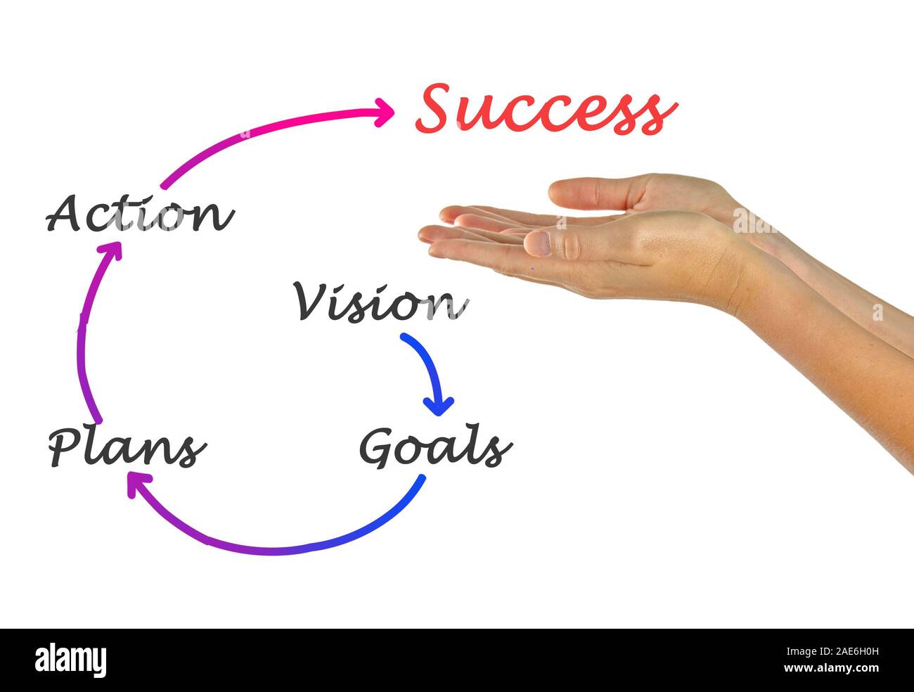 Organizational success Cut Out Stock Images & Pictures - Alamy