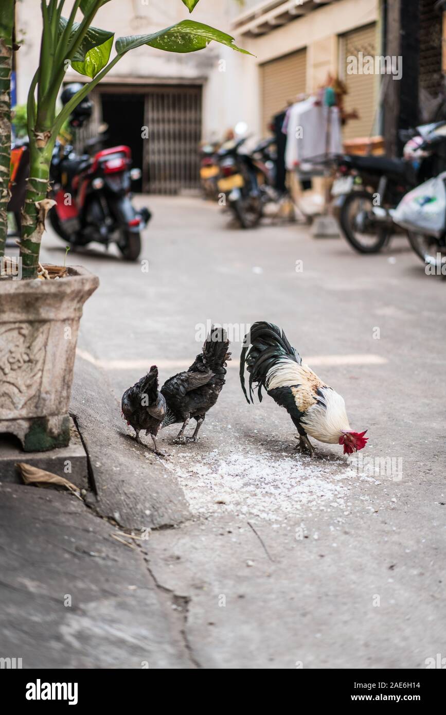 Street scene, Vientiane, Laos, Asia Stock Photo - Alamy