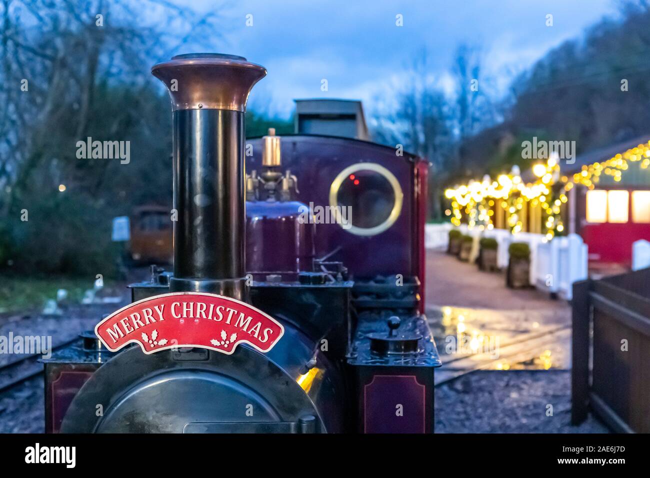 Twilight steam trains at Perrygrove Railway with Father Christmas Stock ...