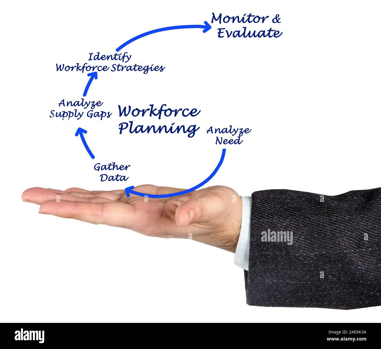 Diagram of Workforce Planning Stock Photo - Alamy