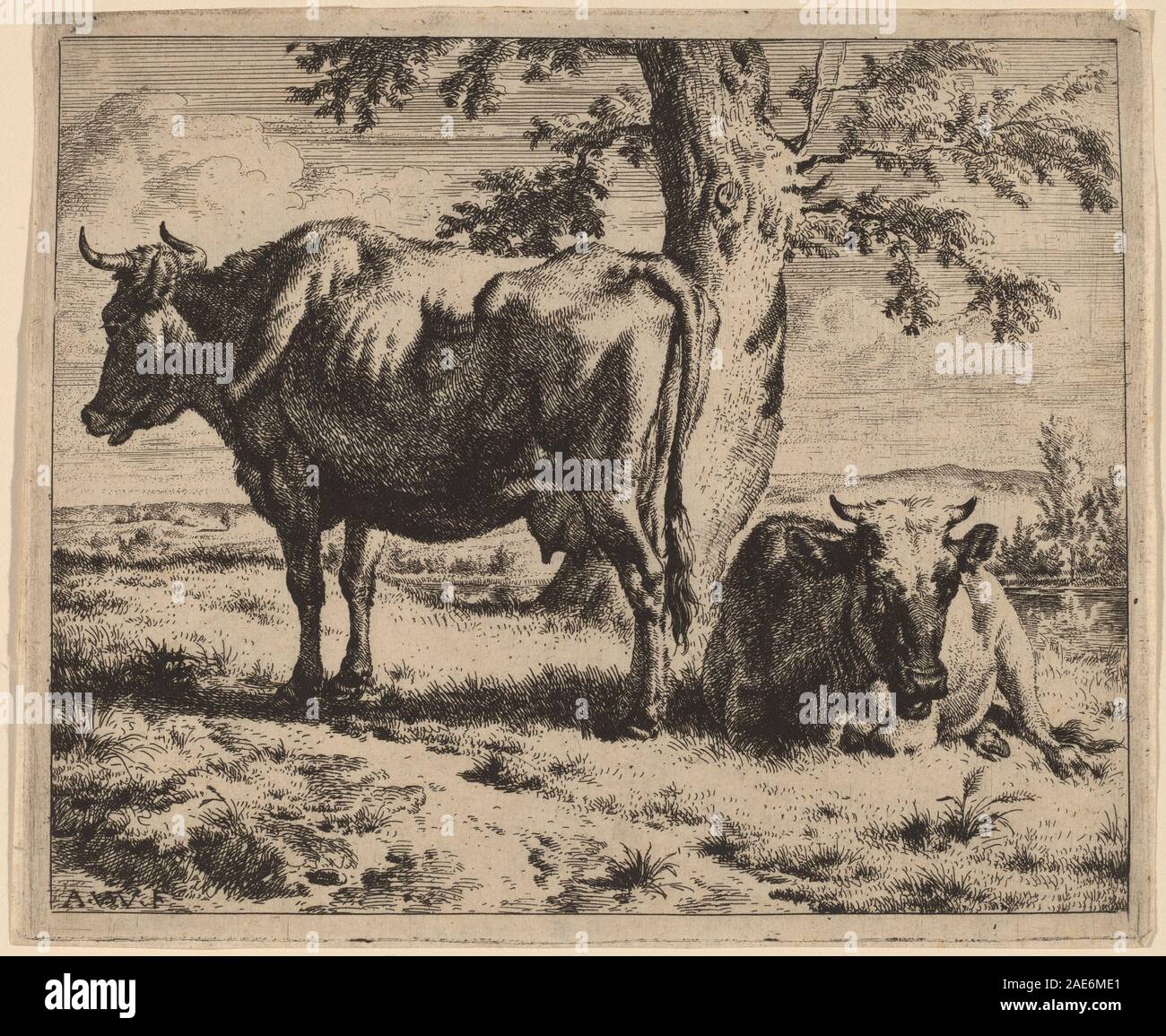 Two cows under tree hi-res stock photography and images - Alamy